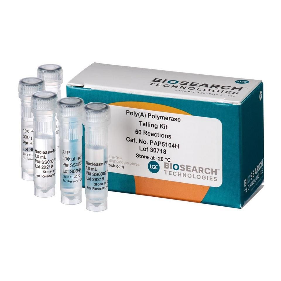 Poly(A) Polymerase Tailing Kit - GeneTarget Solutions