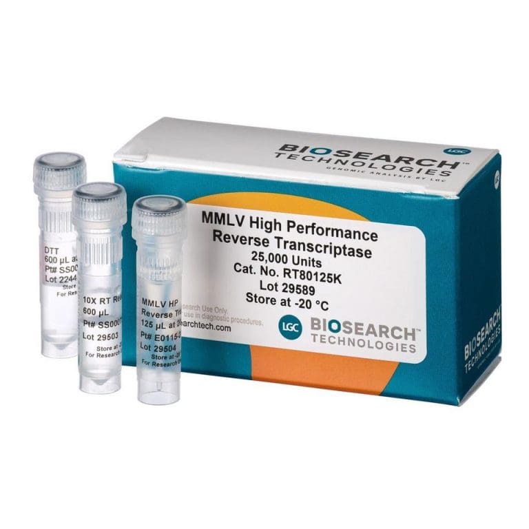 MMLV High Performance Reverse Transcriptase Kit - GeneTarget Solutions